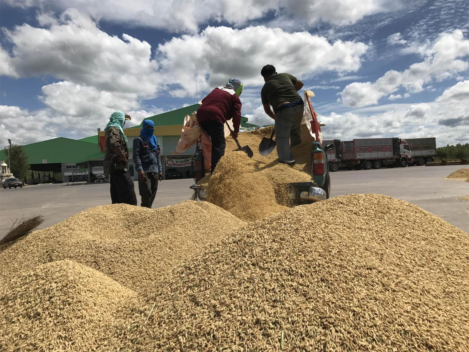 Bangkok Post - Moves to promote Thai rice exports