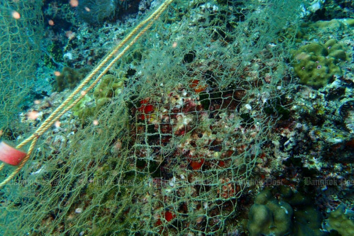 Bangkok Post - Navy divers remove huge net covering coral reef