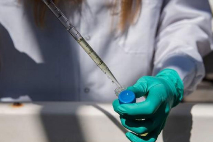 Bangkok Post - Exxon Sees Green Gold in Algae-Based Fuels. Skeptics See ...