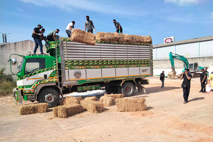Bangkok Post Tonne Of Ganja Seized 3 Arrests