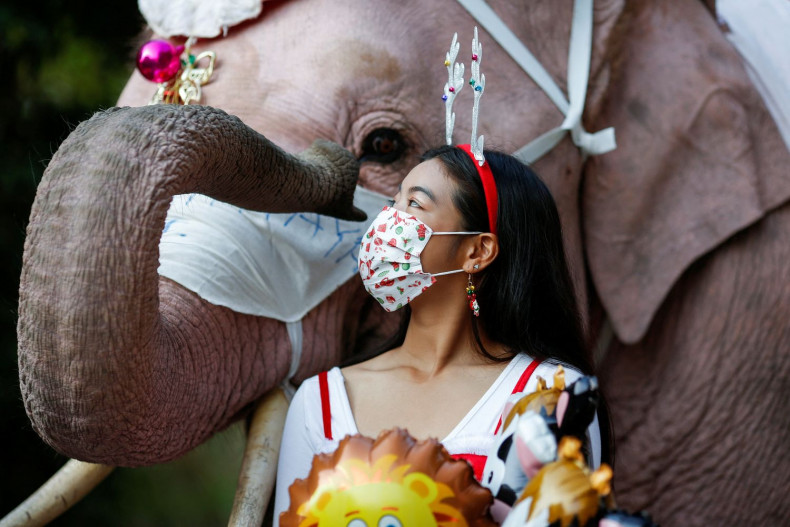 Bangkok Post - Elephant Santas pass out face masks at school
