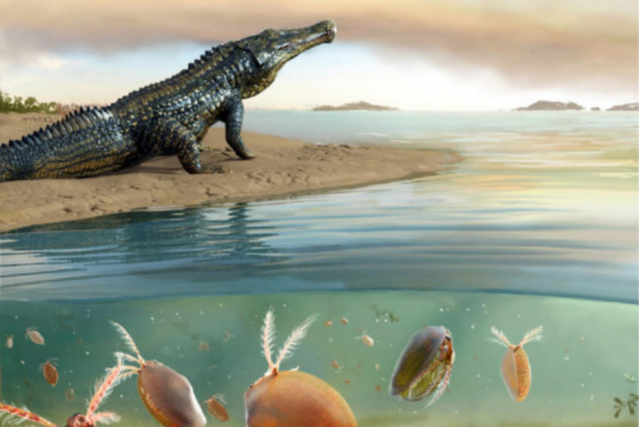 Bangkok Post - Dissolved in toxic oceans: how an ancient extinction ...