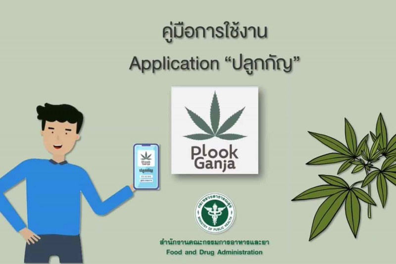 Bangkok Post - FDA launching website, app for registration of cannabis ...