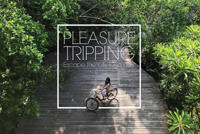 Bangkok Post - Pleasure tripping