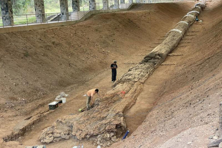 Bangkok Post - Ancient log site eyed as tourism hotspot