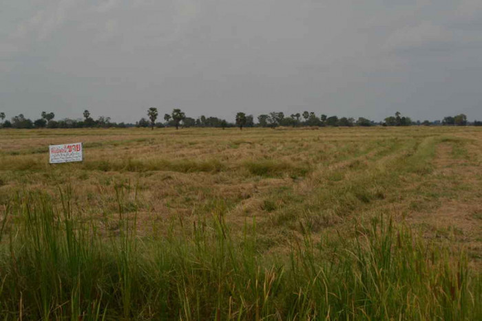 Bangkok Post - Govt U-turns on land plan