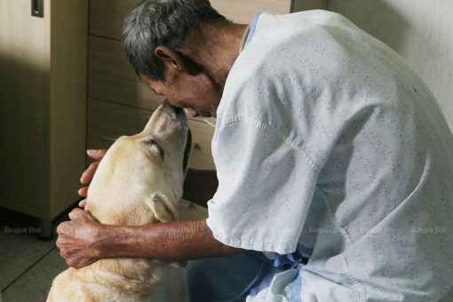Bangkok Post - Patients with cancer turn to pet therapy