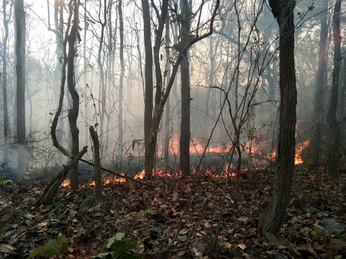 Bangkok Post - Fire-fuelled haze shrouds both North and South