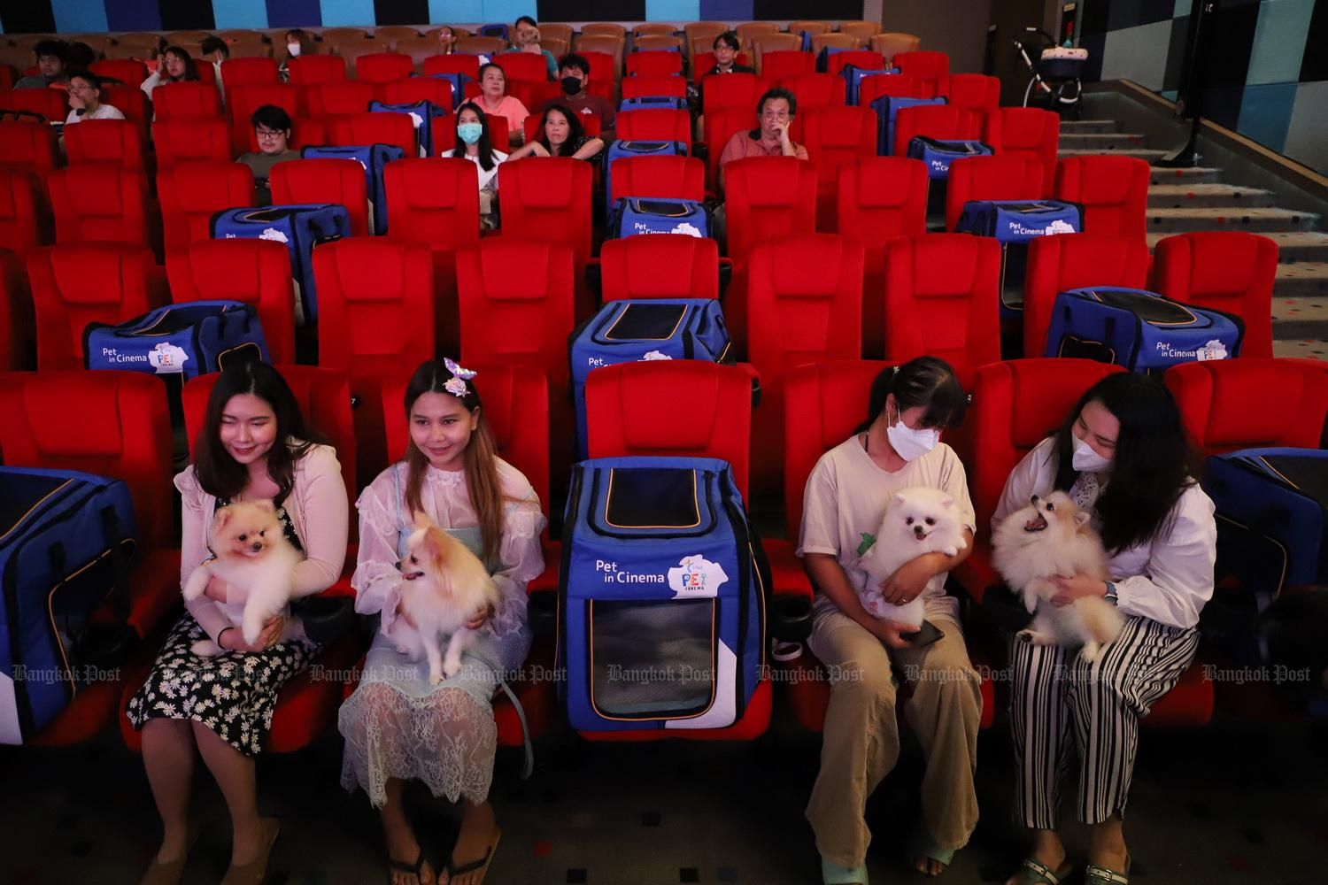 Bangkok Post - Photo gallery | Bangkok Post