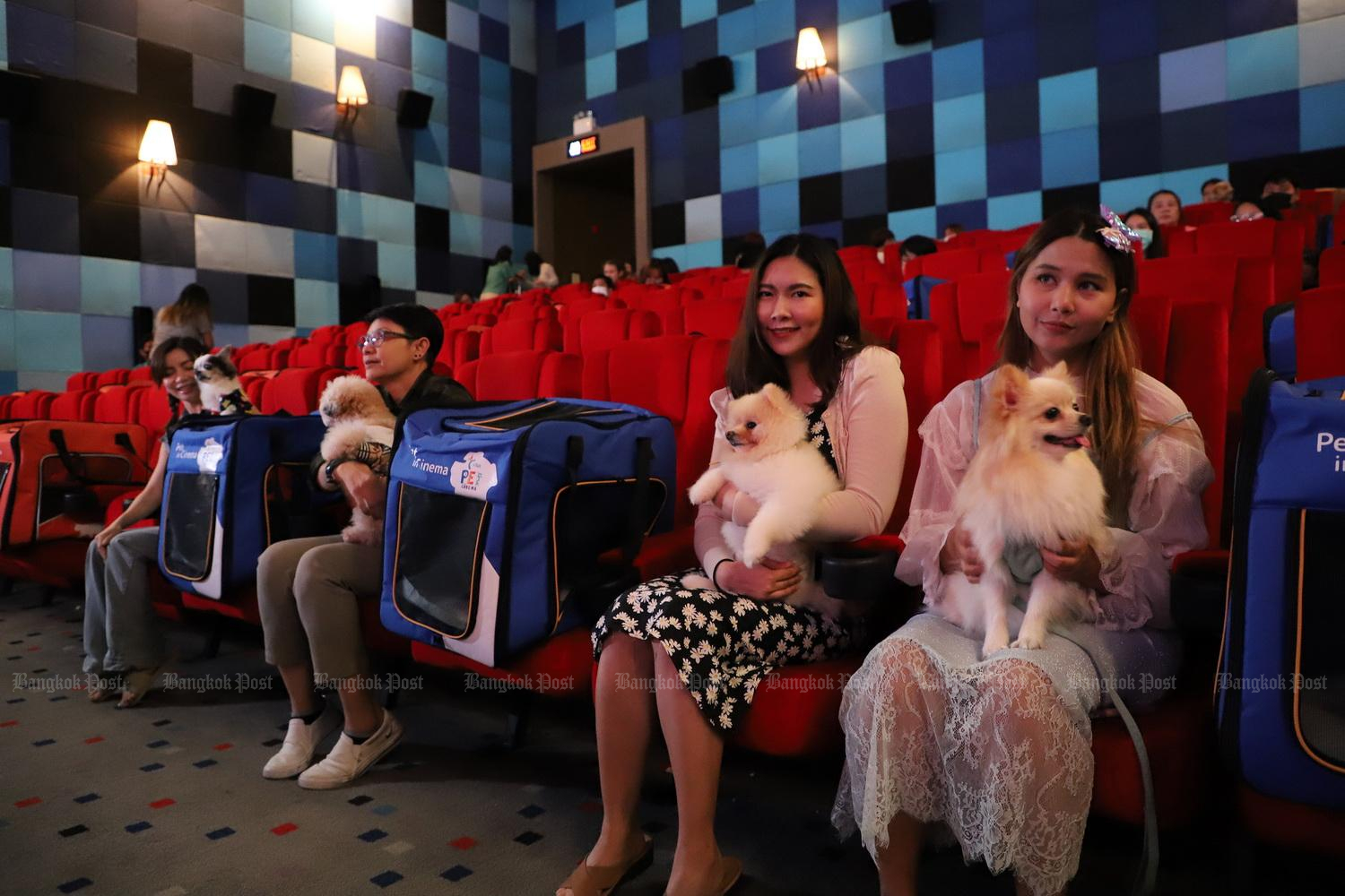 Bangkok Post - Photo gallery | Bangkok Post