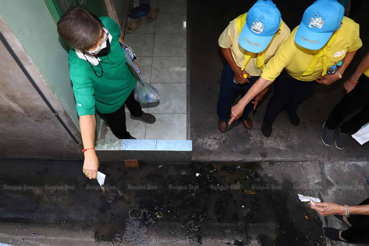 Bangkok Post - Dengue cases on rise: DDC