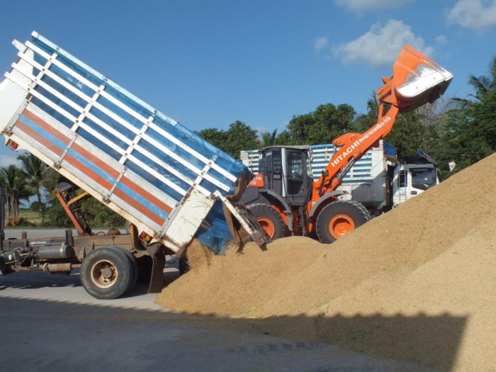 Bangkok Post - Rice soars to two-year high in Asia