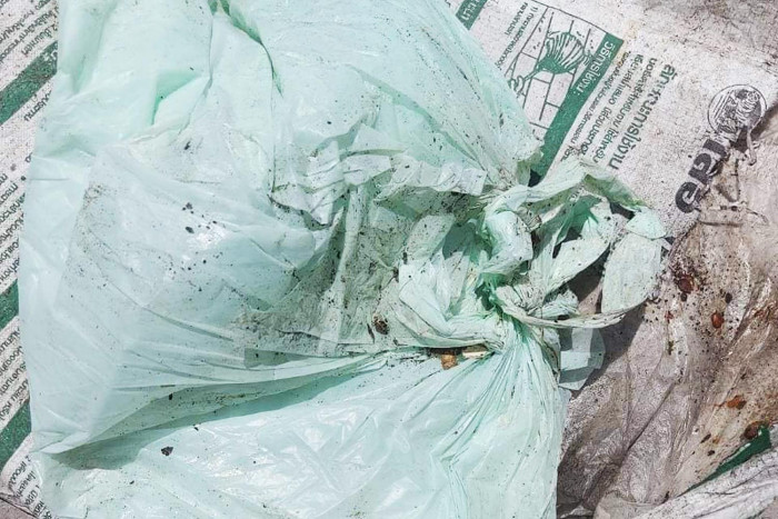 Bangkok Post - Body parts found on Koh Phangan