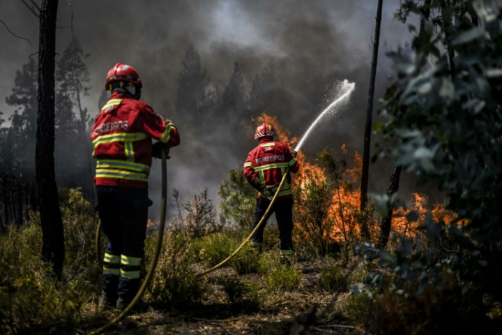 Bangkok Post - Spain, Portugal battle wildfires as temperatures soar