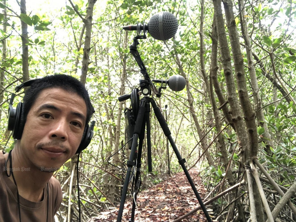 Bangkok Post - Call of the wild