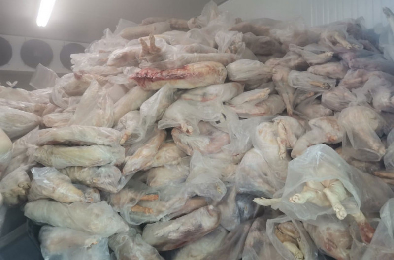 Bangkok Post - 10 tonnes of smuggled frozen suckling pigs impounded