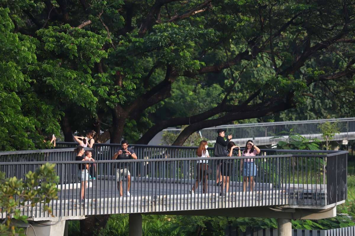 Bangkok Post - Benjakitti Park and Lumpini Park to host 'Bangkok Bestival'