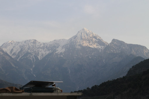 Bangkok Post - Pakistan suicide bomb kills 5 Chinese