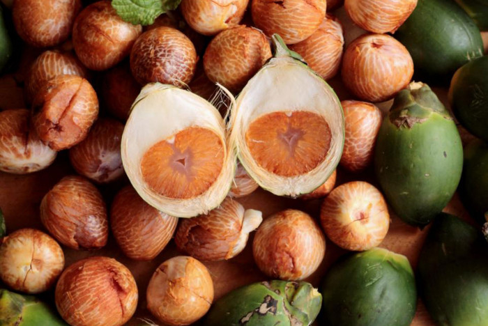 Areca Nut Effects