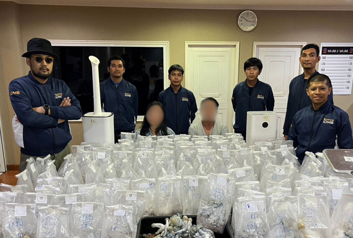 Bangkok Post - Couple arrested for selling ‘magic mushrooms’