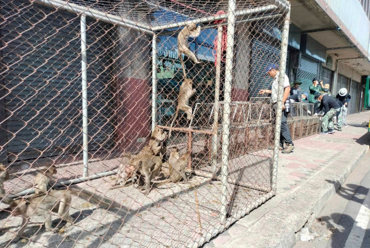 Bangkok Post - New 1,000-macaque target set
