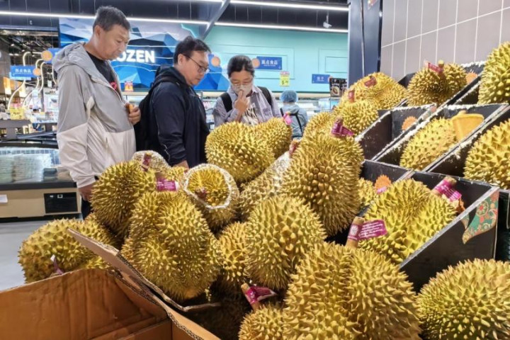 Bangkok Post - China has cut off some Vietnamese durian imports