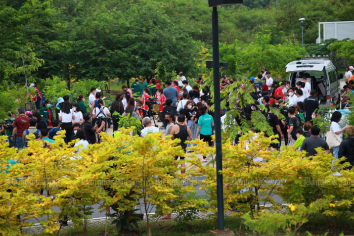 Bangkok Post - Bangkok to grow another one million trees