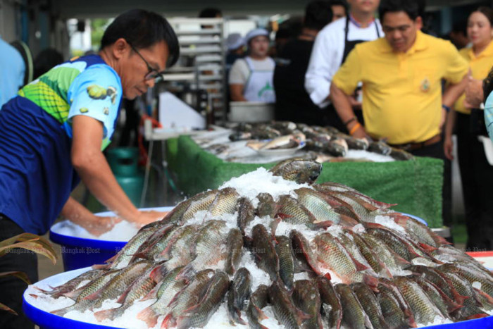 Bangkok Post - Groups demand urgent action on 'alien fish' saga