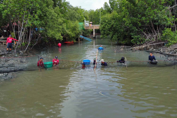 Bangkok Post - Minister says knows who's to blame for alien-fish invasion