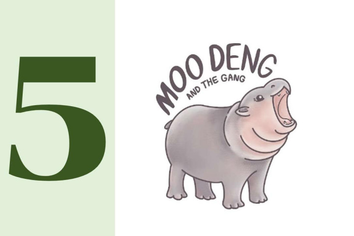 Bangkok Post - Official Moo Deng logo announced