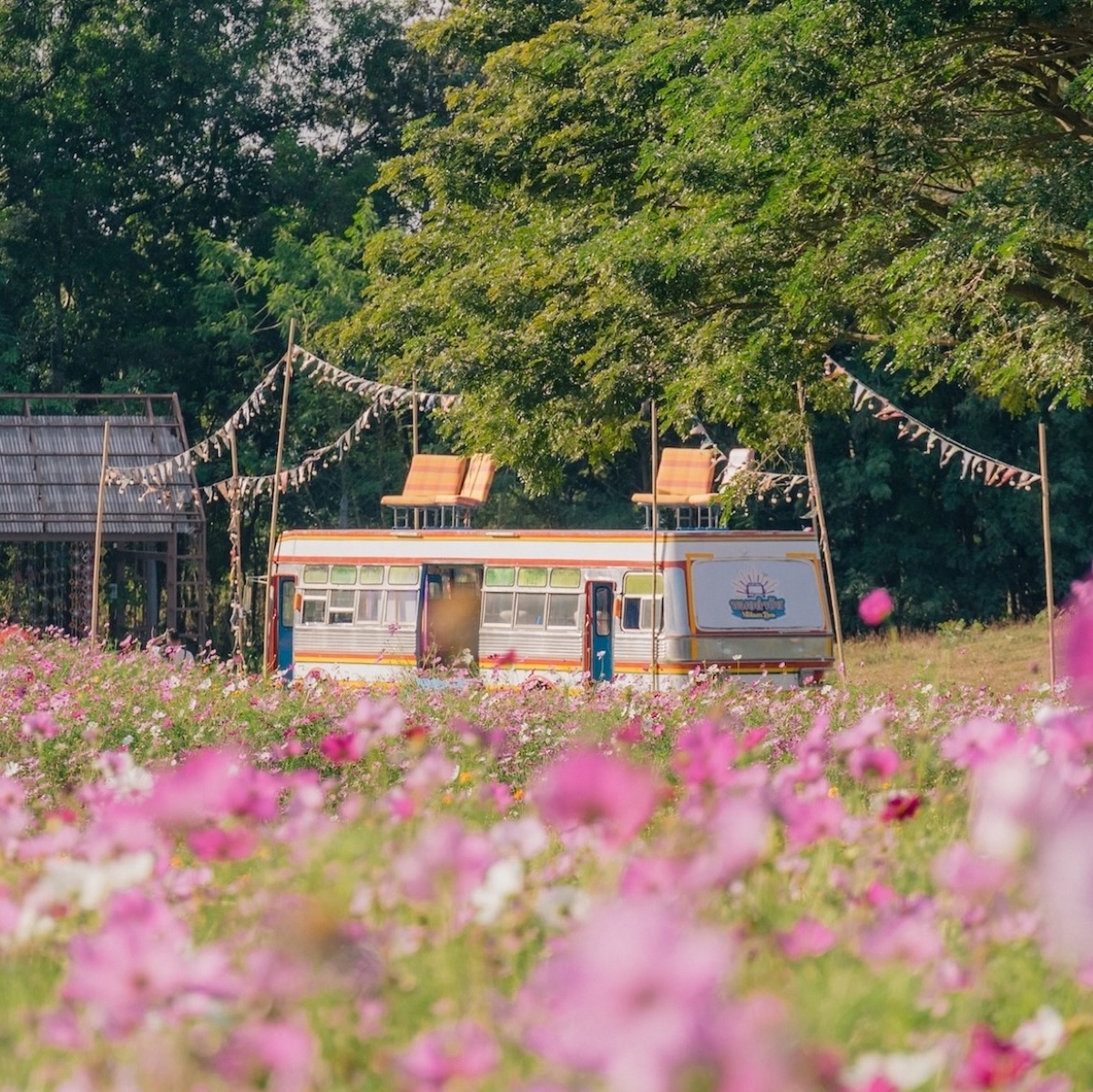 Bangkok Post - Jim Thompson Farm tour begins on Dec 7