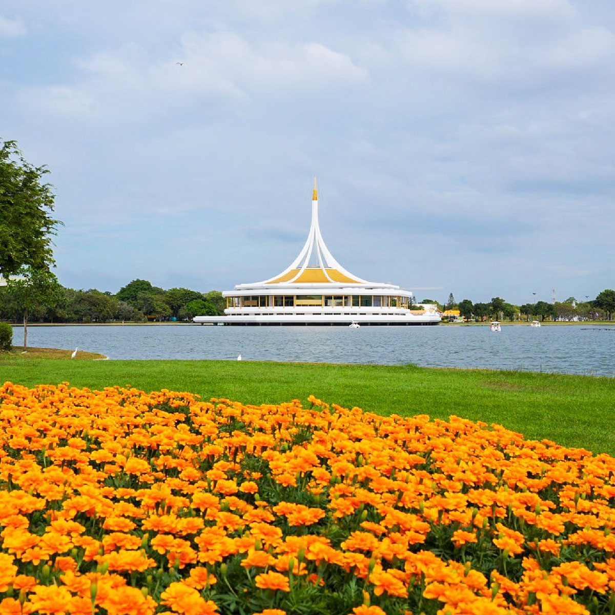 Bangkok Post - Rama IX Park welcomes winter with flower festival