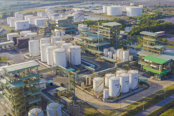 Bangkok Post - BBGI predicts higher 2025 revenue