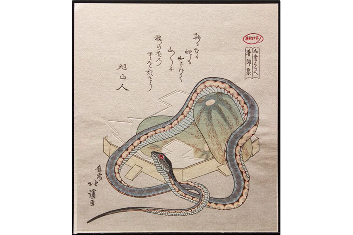 Bangkok Post - Unravelling the snake in the Chinese zodiac