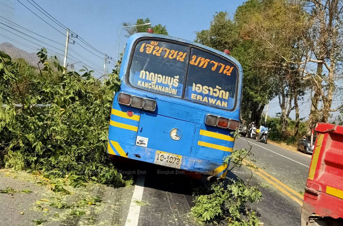 Bangkok Post - Nine hurt as illegally cut tree falls on bus