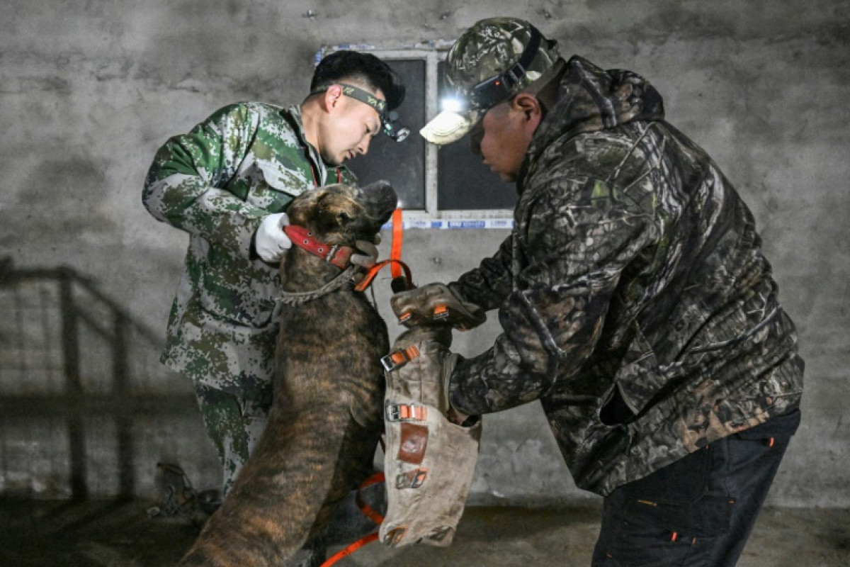 Bangkok Post - China's viral wild boar hunters attract fame and concern