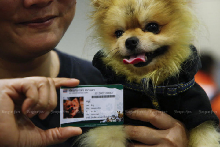 Bangkok Post - Bangkok pet owners must microchip dogs, cats by next year