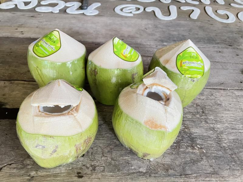Bangkok Post - Coconuts get pricier as poor weather drives global shortage