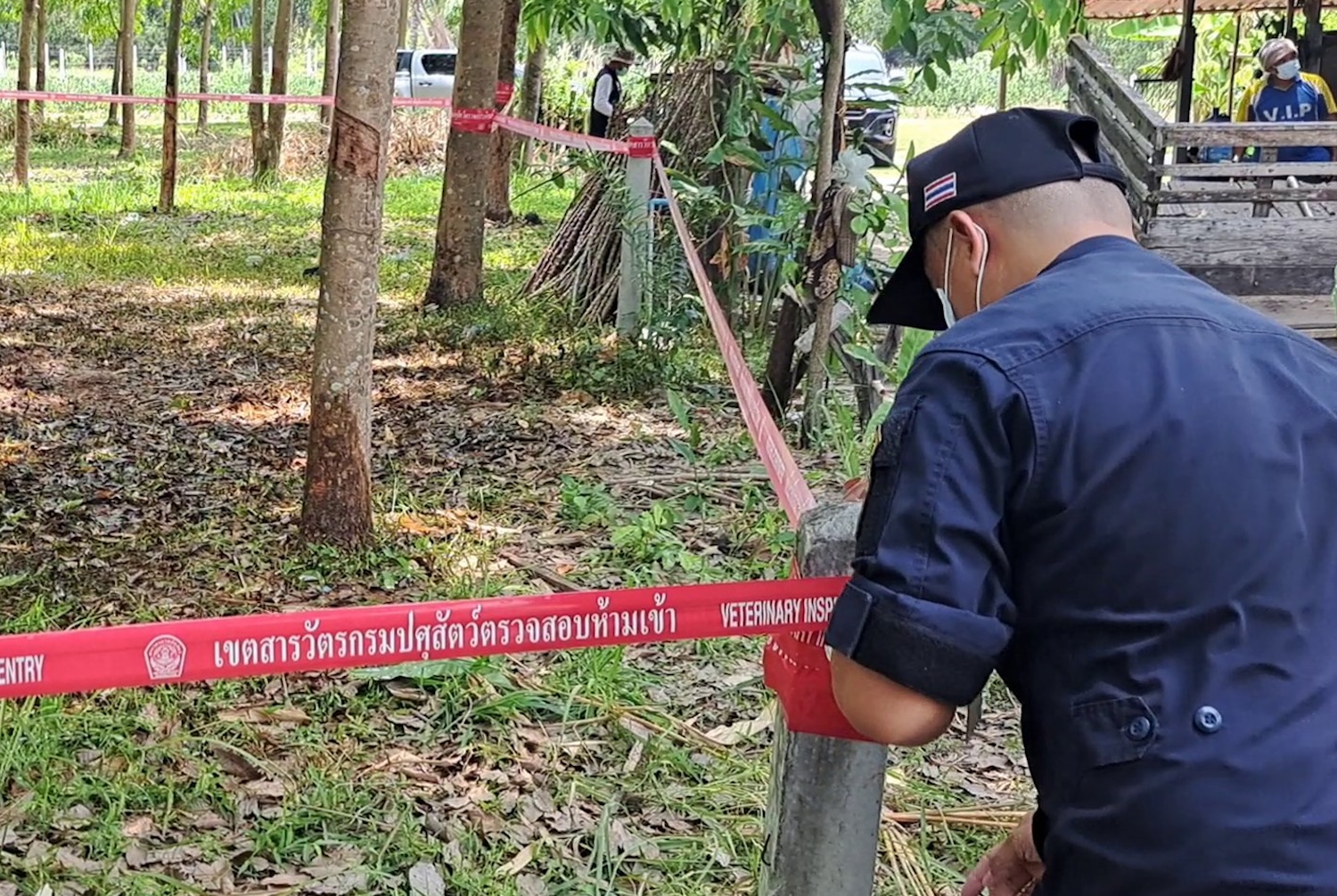 Bangkok Post - Thailand reports first anthrax death in 30 years
