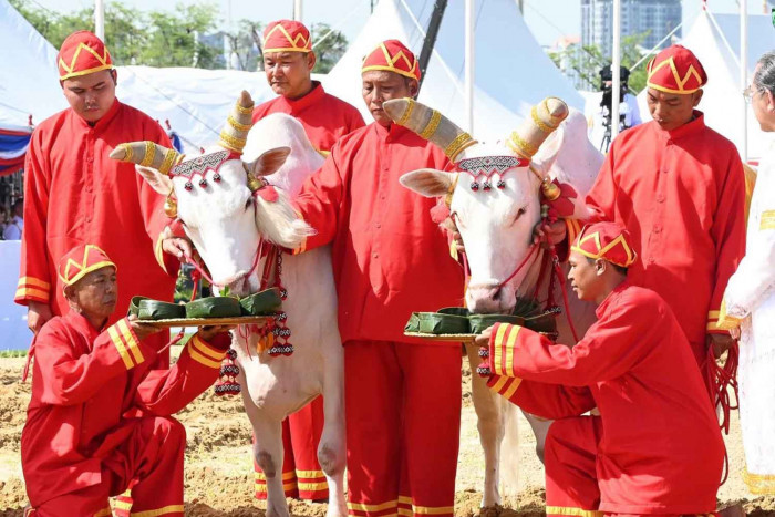 Bangkok Post - Sacred oxen predict bumper trade year