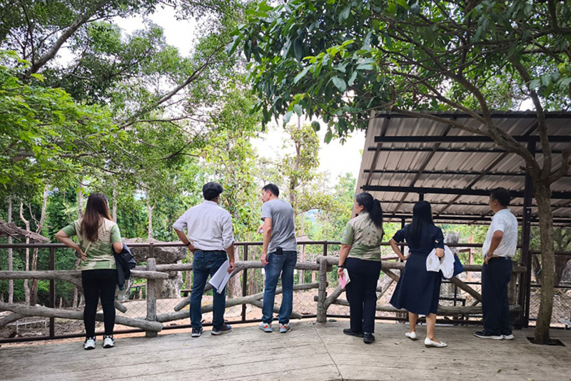 Bangkok Post - Chiang Mai zoo to welcome 2 new pandas from China