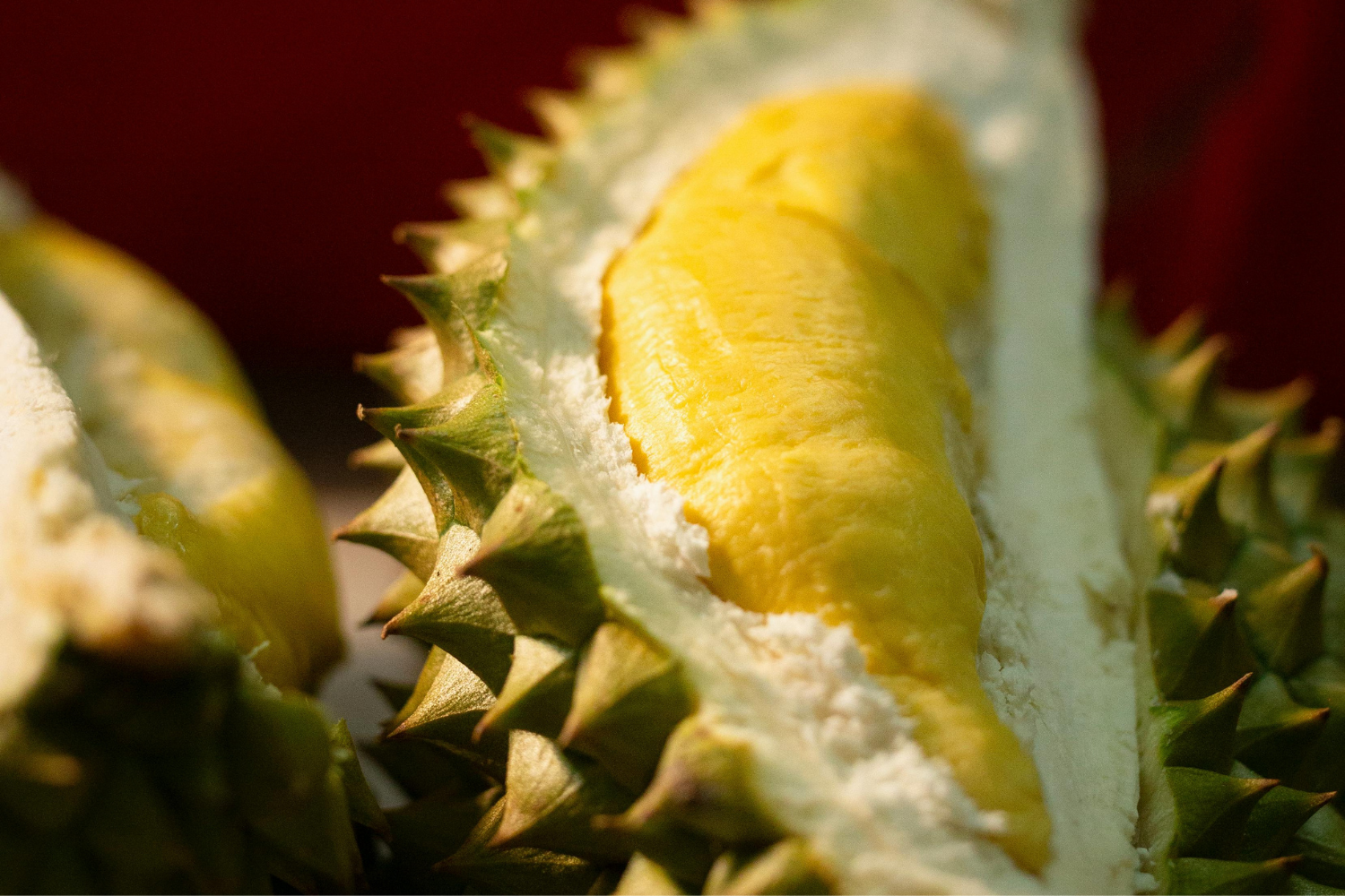 Bangkok Post - What does durian taste, smell, feel like? Netizens share ...