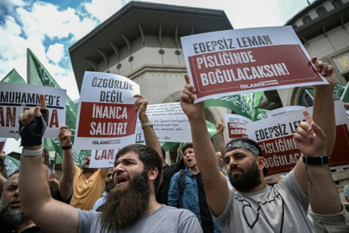 Renee gracie only fans leaked she owns a dog though it is