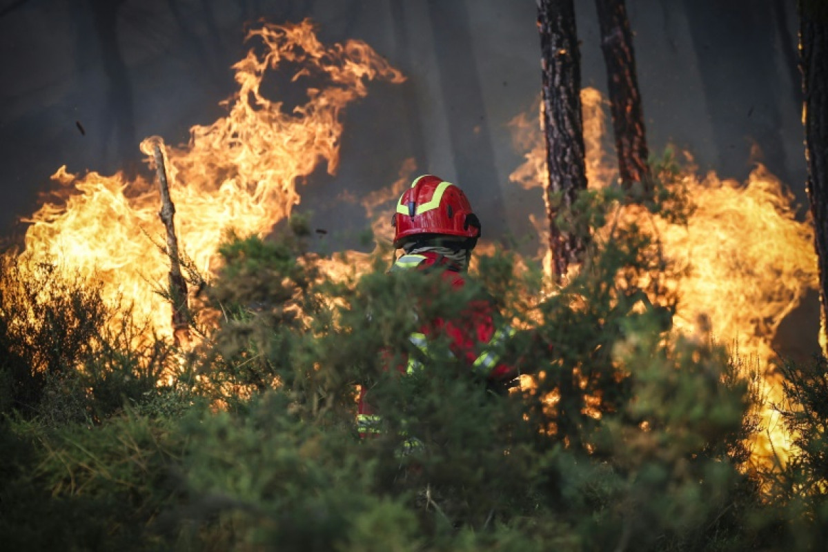 Bangkok Post - Portugal battles to contain wildfires