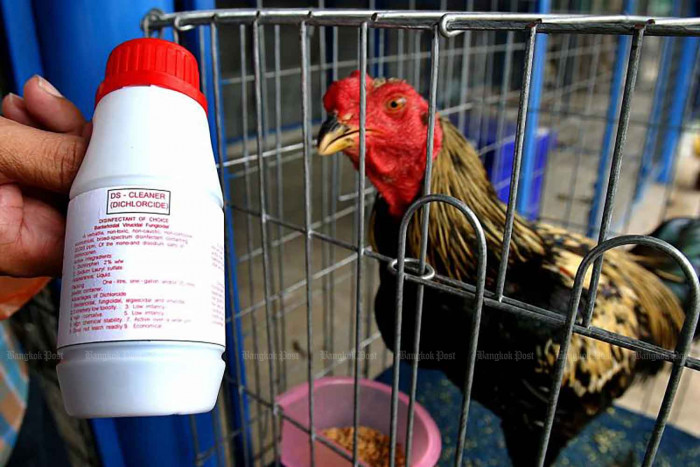 Bangkok Post - Authorities on high alert for avian flu