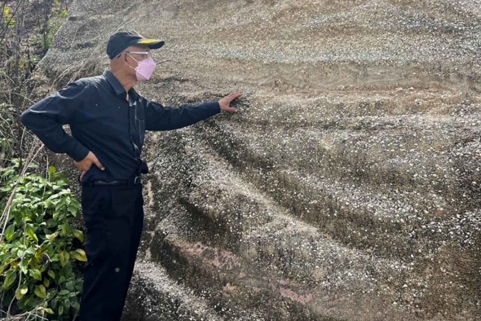 Bangkok Post - Fossil site now under protection