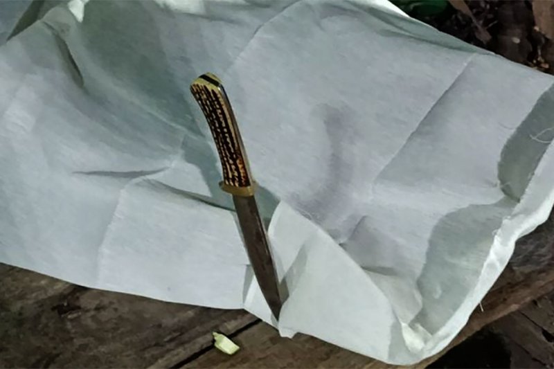 Bangkok Post - Suspect 'sorry' for knife row