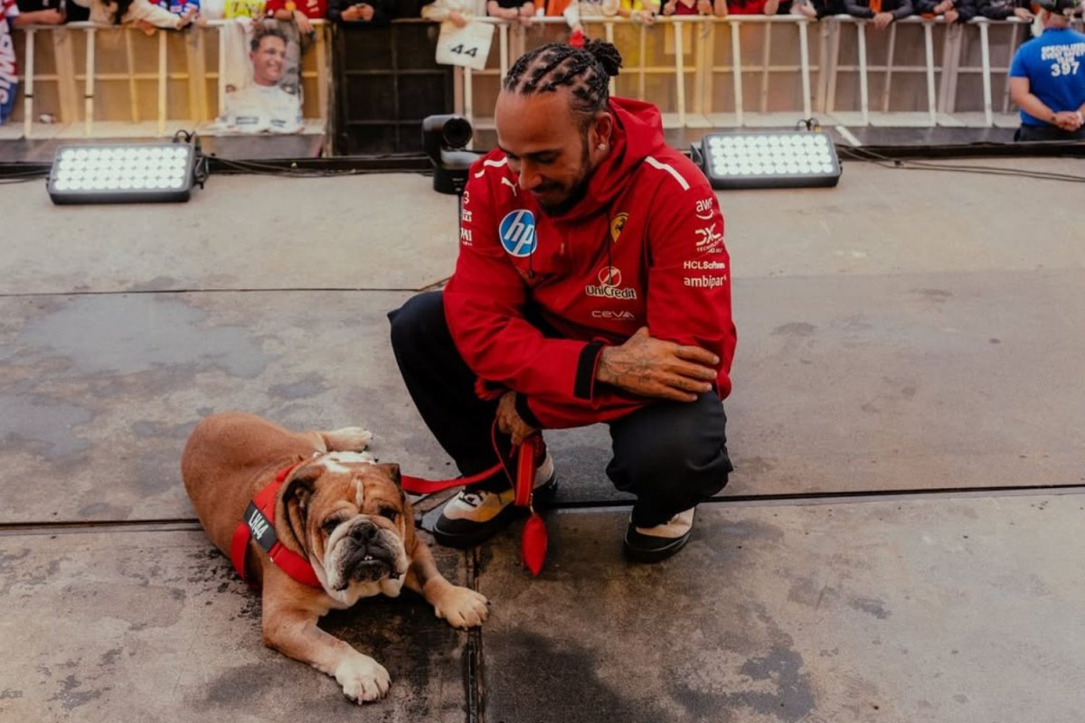 Bangkok Post - F1 ace Hamilton mourns death of his bulldog Roscoe