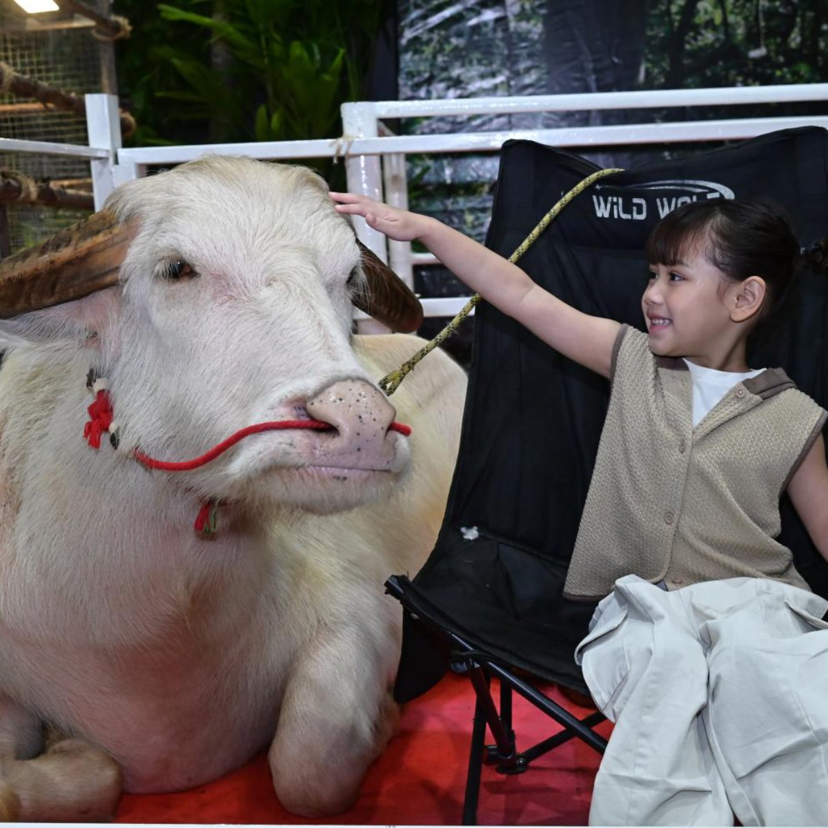 Bangkok Post - Get up close with rare, exotic animals at The Mall ...