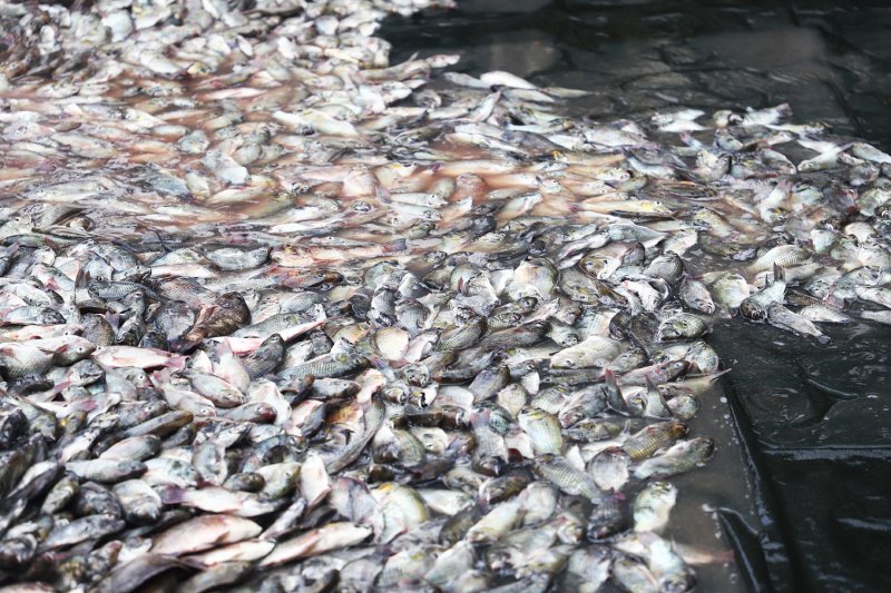 Bangkok Post - Dec 1 hearing set in CP Foods suit against activist